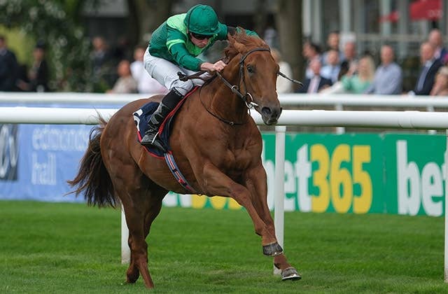 良血馬ホイッスルジャケットが英G2ジュライS逃げ切り、全兄にリトルビッグベア | JRA-VAN World - 海外競馬情報サイト