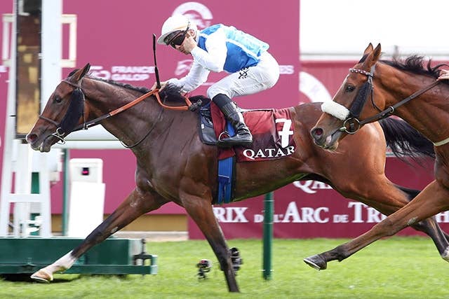 ダイワメジャー産駒ダブルメジャー、仏G2モーリスドニョイユ賞を逃げ切り | JRA-VAN World - 海外競馬情報サイト