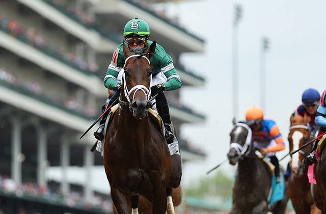 フィアースネス（Fierceness） | 競馬データベース | JRA-VAN World - 海外競馬情報サイト