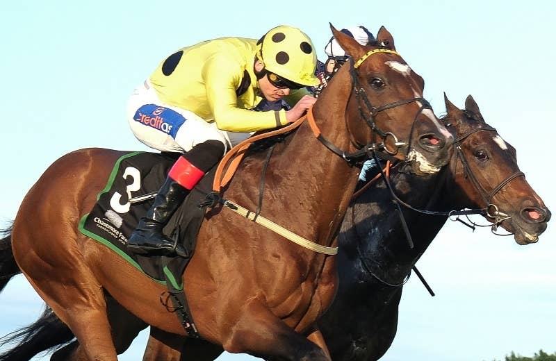 ロイヤルライム（Royal Rhyme） | 競馬データベース | JRA-VAN World - 海外競馬情報サイト