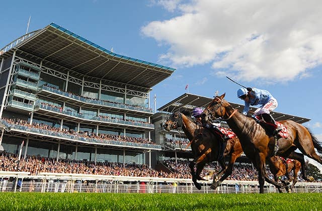 【JRA発表】8・21 英インターナショナルS テレビ＆ラジオ中継は23時～ | JRA-VAN World - 海外競馬情報サイト