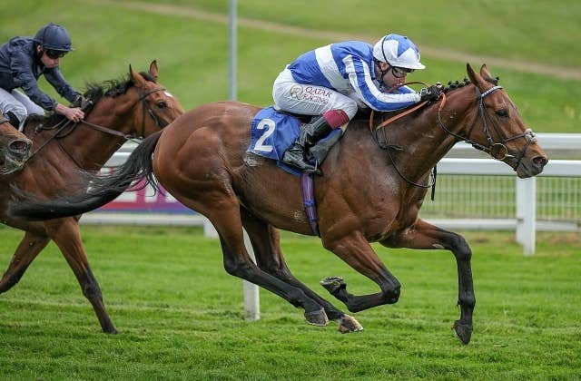 北米屈指の高額賞金G3ナッシュビルダービー、欧州馬ベラムジャスタムが制す | JRA-VAN World - 海外競馬情報サイト