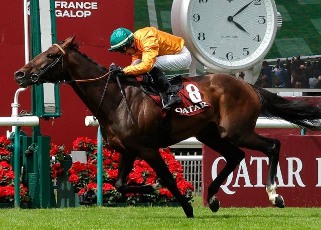 ニエル賞（G2） 2024/9/15(日) | 日程・結果 | JRA-VAN World - 海外競馬情報サイト