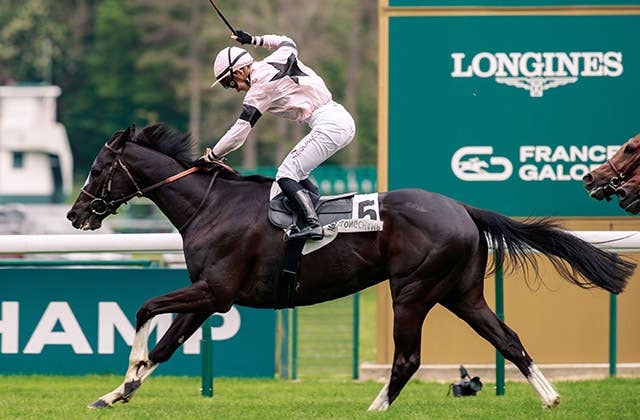 フォワ賞（G2） 2024/9/15(日) | 日程・結果 | JRA-VAN World - 海外競馬情報サイト