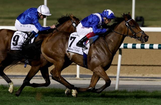 ドバイターフ3連覇のロードノースが引退、今後はゴドルフィンの施設で余生 | JRA-VAN World - 海外競馬情報サイト