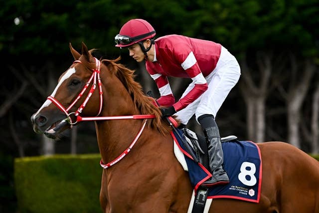 シンエンペラーが軽めの追い切り、「動きスムーズに」と岡助手 | JRA-VAN World - 海外競馬情報サイト