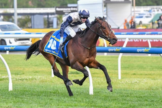 コーフィールドカップ（G1） 2024/10/19(土) | 日程・結果 | JRA-VAN World - 海外競馬情報サイト