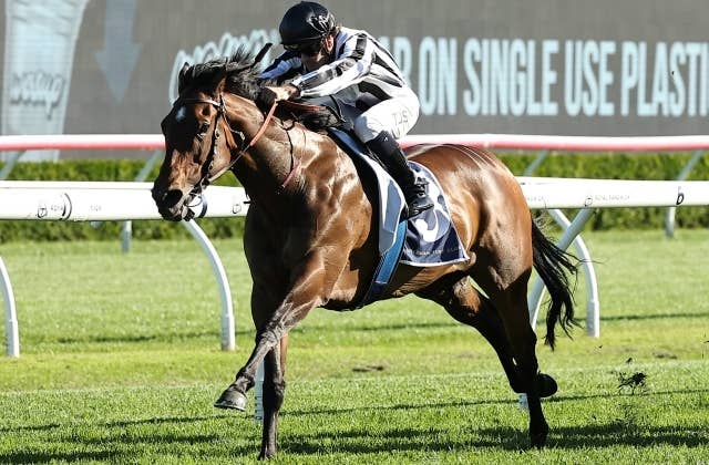 豪移籍のベルクレアが重賞2連勝、G2ホットダニッシュSを逃げ切り | JRA-VAN World - 海外競馬情報サイト