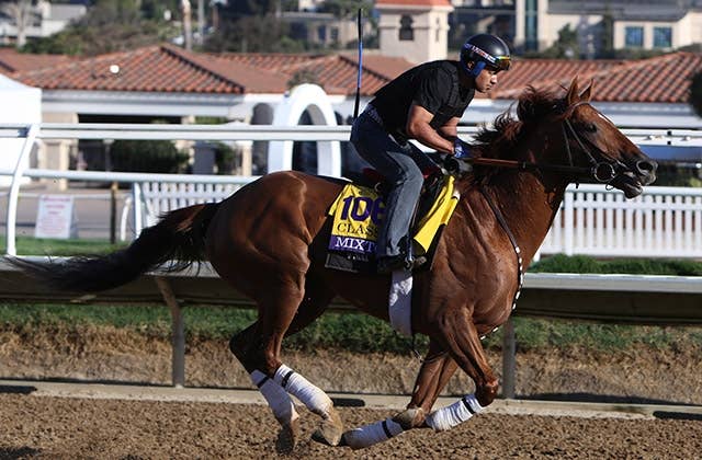 【チャンピオンズC】予備登録馬来日なしで今年も外国馬不在で実施。19年から6年連続 | JRA-VAN World - 海外競馬情報サイト