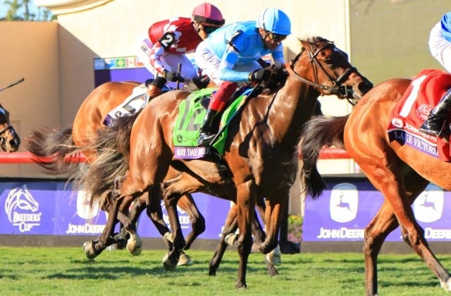 史上初！外国調教馬が2歳女王決定戦「阪神JF」へ JRAが米国馬メイデイレディの来日を発表 | JRA-VAN World - 海外競馬情報サイト