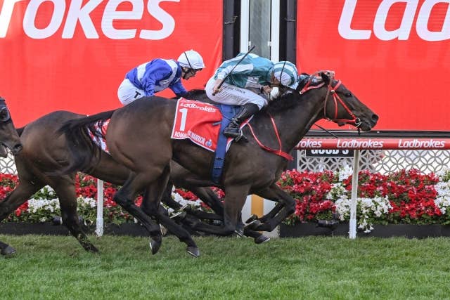 ジョッキークラブカップ（G2） 2024/11/17(日) | 日程・結果 | JRA-VAN World - 海外競馬情報サイト