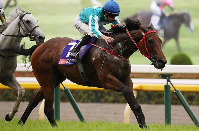 ジョッキークラブカップ（G2） 2024/11/17(日) | 日程・結果 | JRA-VAN World - 海外競馬情報サイト