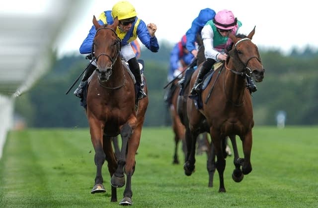 【ジャパンC】ゴリアットには「誰も近づくことができない」馬主スチュワート氏が強気の宣言 | JRA-VAN World - 海外競馬情報サイト