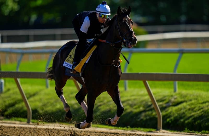 タスカンゴールド（Tuscan Gold） | 競馬データベース | JRA-VAN World - 海外競馬情報サイト
