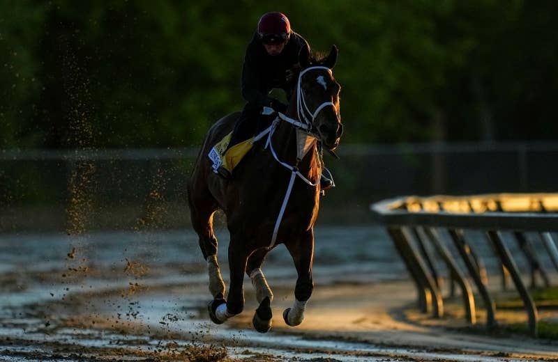 アンクルヘビー（Uncle Heavy） | 競馬データベース | JRA-VAN World - 海外競馬情報サイト