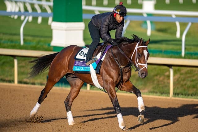 米G2フォートローダーデールS、メジャーデュードが久々の重賞制覇 | JRA-VAN World - 海外競馬情報サイト