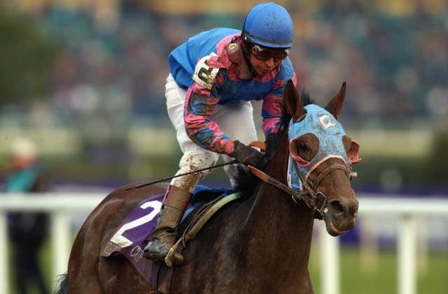 2002年のBCクラシック覇者ヴォルポニ、供用先だった韓国で死亡 | JRA-VAN World - 海外競馬情報サイト