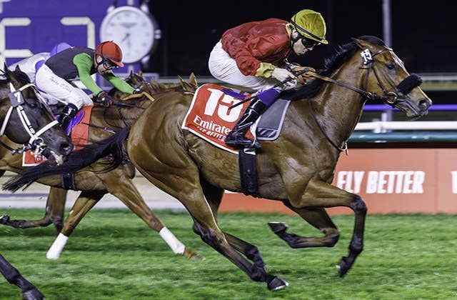 ウエストエーカー再び古馬撃破、ドバイG3ナドアルシバターフスプリントも制す | JRA-VAN World - 海外競馬情報サイト