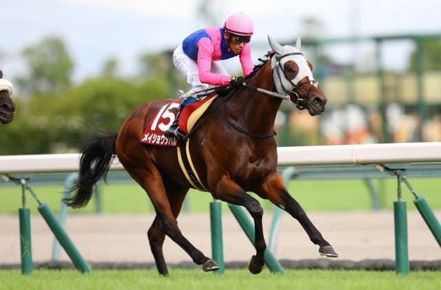 2025ドバイターフ | JRA-VAN World - 海外競馬情報サイト