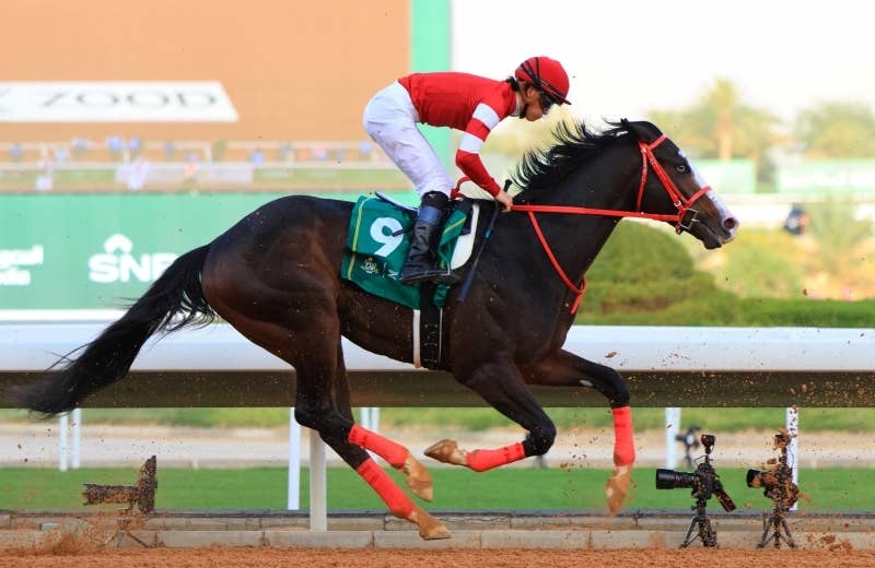 出走馬情報 | 2025UAEダービー | JRA-VAN World - 海外競馬情報サイト