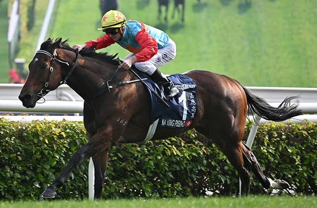 カーインライジングが11連勝、香港G2スプリントCを快勝 | JRA-VAN World - 海外競馬情報サイト