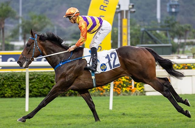 ストレートアロンが約16カ月ぶりの白星、香港G2チェアマンズトロフィー制す | JRA-VAN World - 海外競馬情報サイト