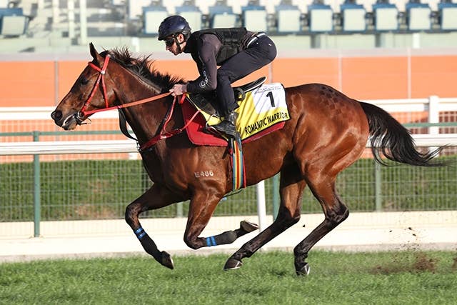 2025ドバイターフ | JRA-VAN World - 海外競馬情報サイト