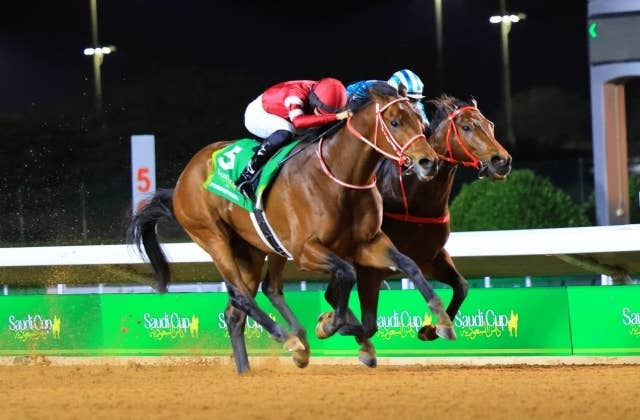 フォーエバーヤングに将来の芝挑戦プラン！「凱旋門賞なのか、ジャパンC、有馬記念、あるいは…」 | JRA-VAN World - 海外競馬情報サイト