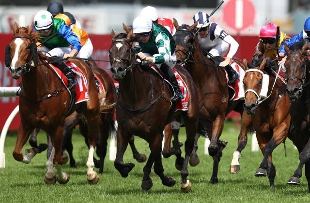 豪G2タラックスSはポケッティングが競り勝ち、中3日で豪ダービー参戦も | JRA-VAN World - 海外競馬情報サイト