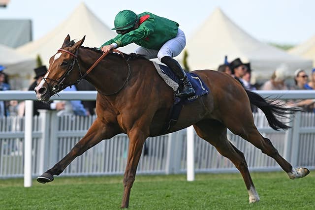 ドバイシーマクラシック（G1） 2025/4/5(土) | 日程・結果 | JRA-VAN World - 海外競馬情報サイト