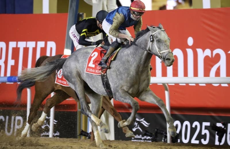 ヒットショー（Hit Show） | 競馬データベース | JRA-VAN World - 海外競馬情報サイト