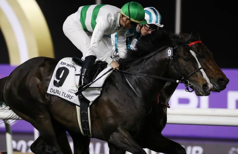ソウルラッシュ（Soul Rush） | 競馬データベース | JRA-VAN World - 海外競馬情報サイト