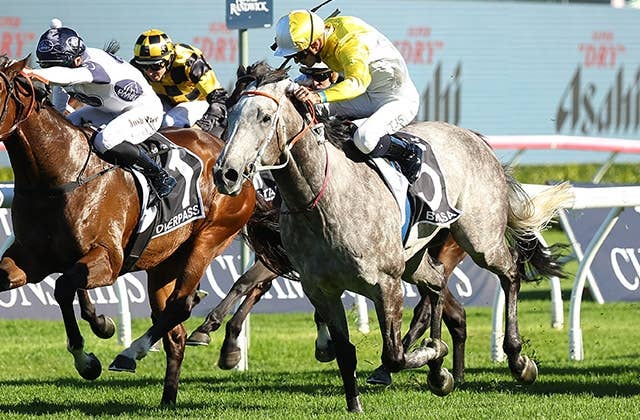 豪G1のTJスミスS、ブリアサが差し切りG1初制覇 | JRA-VAN World - 海外競馬情報サイト