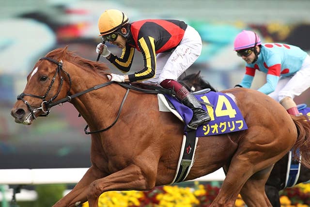 クイーンエリザベスステークス（G1） 2025/4/12(土) | 日程・結果 | JRA-VAN World - 海外競馬情報サイト