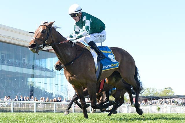 ディナイナレッジが引退、豪G1マイトアンドパワーでミスターブライトサイド撃破 | JRA-VAN World - 海外競馬情報サイト