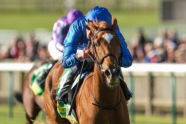 英1000ギニー（G1） 2025/5/4(日) | 日程・結果 | JRA-VAN World - 海外競馬情報サイト