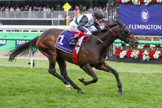 【チャンピオンズM】ミスターブライトサイド、久々の内枠ゲットに歓喜 | JRA-VAN World - 海外競馬情報サイト