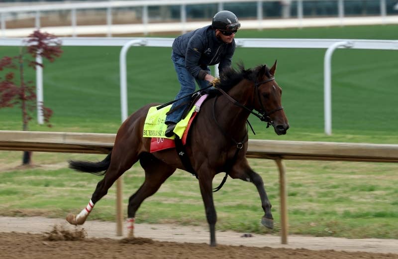バーナムスクエア（Burnham Square） | 競馬データベース | JRA-VAN World - 海外競馬情報サイト