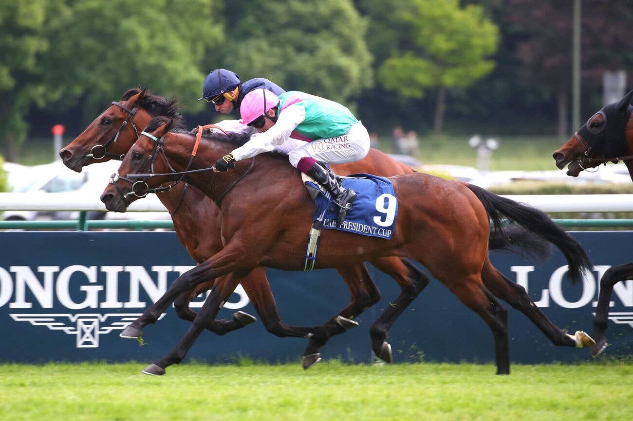 アンリマティスが仏2000ギニーで末脚一閃、ジョンキルとの接戦制す | JRA-VAN World - 海外競馬情報サイト