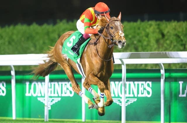 フォワ賞（G2） 2025/9/7(日) | 日程・結果 | JRA-VAN World - 海外競馬情報サイト