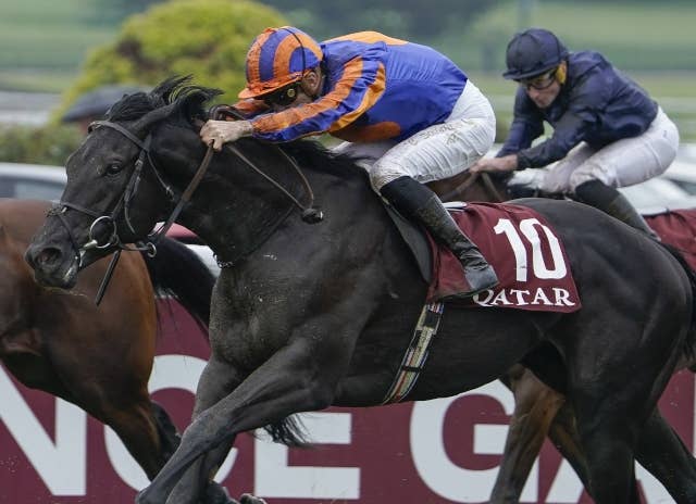 仏ダービー（G1） 2025/6/1(日) | 日程・結果 | JRA-VAN World - 海外競馬情報サイト