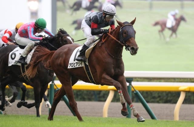 パリ大賞（G1） 2025/7/13(日) | 日程・結果 | JRA-VAN World - 海外競馬情報サイト