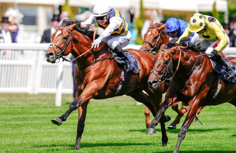 ドックランズ（Docklands） | 競馬データベース | JRA-VAN World - 海外競馬情報サイト