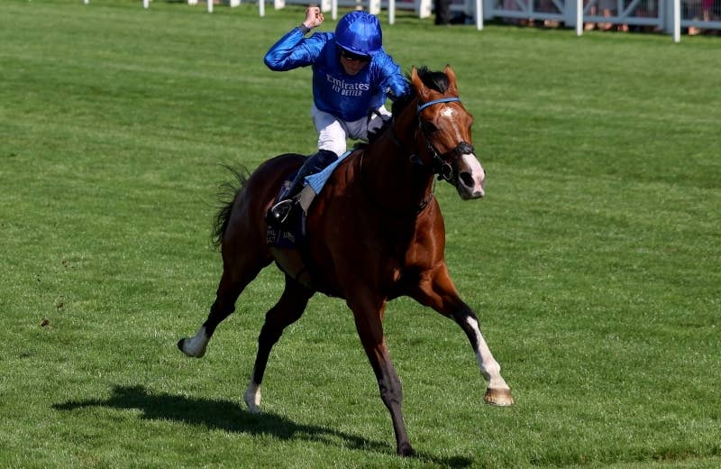 オンブズマン（Ombudsman） | 競馬データベース | JRA-VAN World - 海外競馬情報サイト