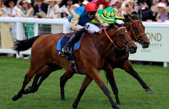 サトノレーヴはあと少し、英G1クイーンエリザベス2世ジュビリーSでラザットに惜敗 | JRA-VAN World - 海外競馬情報サイト