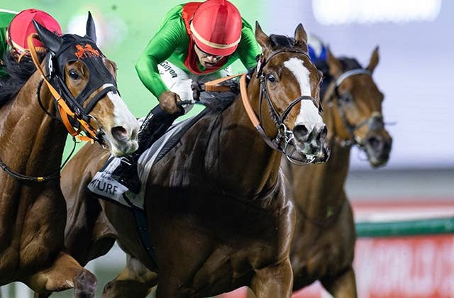 プリンスオブウェールズステークス（G1） 2025/6/18(水) | 日程・結果 | JRA-VAN World - 海外競馬情報サイト