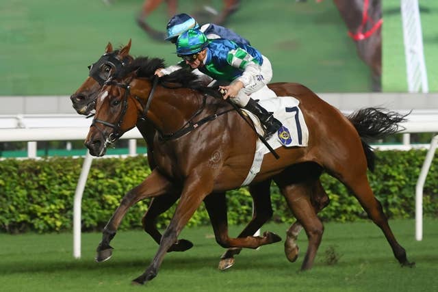 香港G3プレミアカップ、ブービー人気のコパートナープランスが金星 | JRA-VAN World - 海外競馬情報サイト