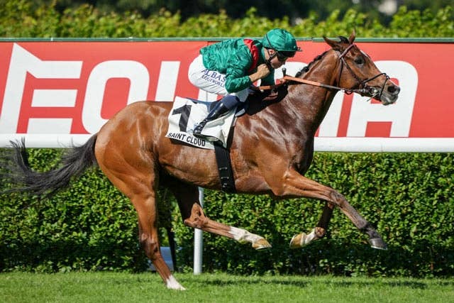 カランダガンはキングジョージ参戦が有力、ヤンブリューゲルと再戦も | JRA-VAN World - 海外競馬情報サイト