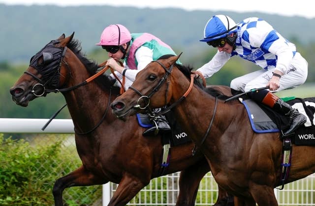 同厩馬が重賞で1着同着の珍事、英G3オークツリーS | JRA-VAN World - 海外競馬情報サイト