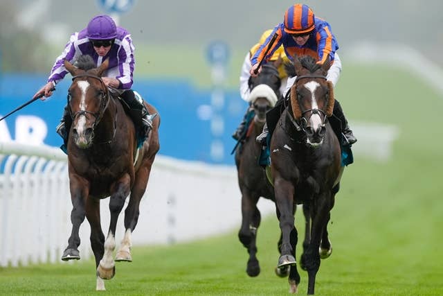 英セントレジャー（G1） 2025/9/13(土) | 日程・結果 | JRA-VAN World - 海外競馬情報サイト